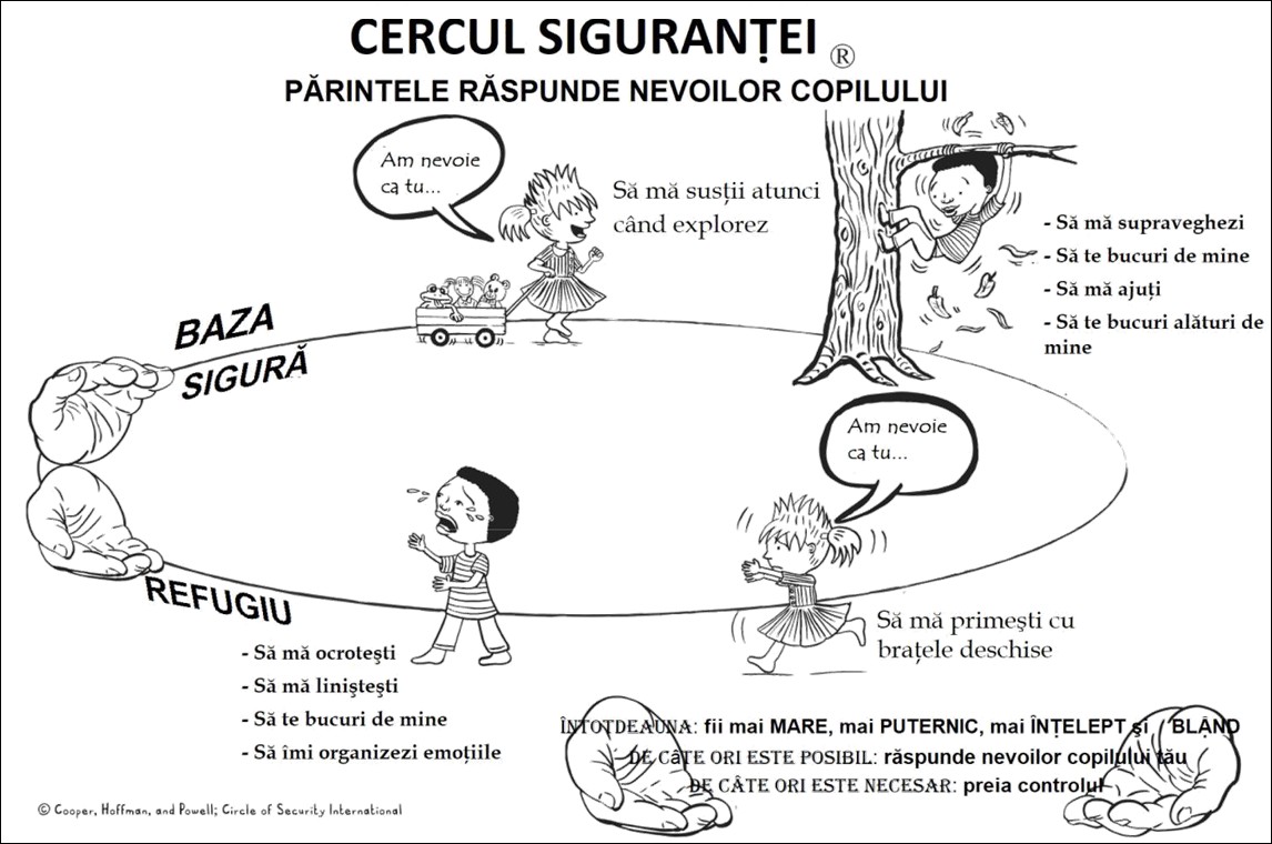Cercul Sigurantei - Terapeut de familie Bucuresti
